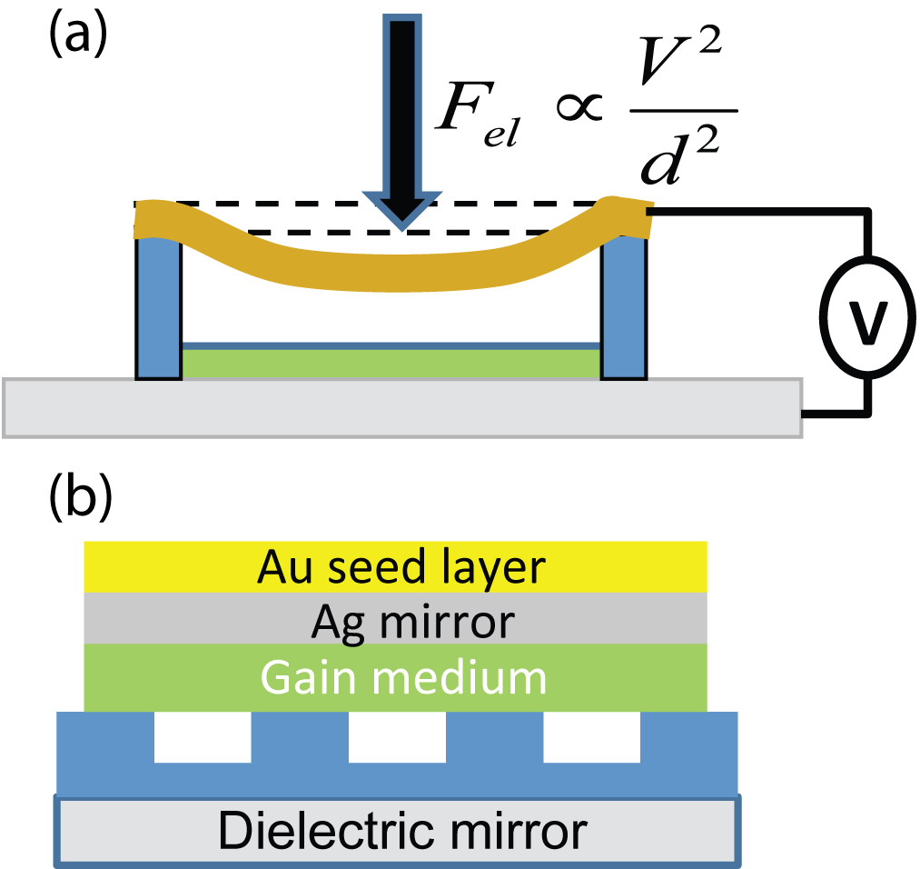MTL Annual Report » MEMS Tunable Organic Laser Cavities